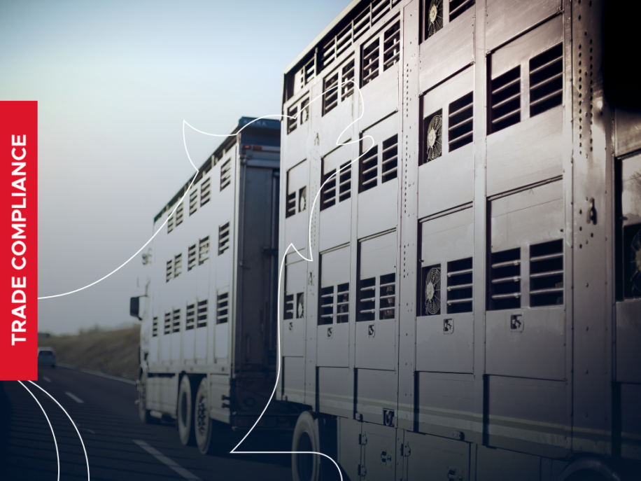 Brexit: verso l’avvio la seconda fase per l’implementazione del Border ...