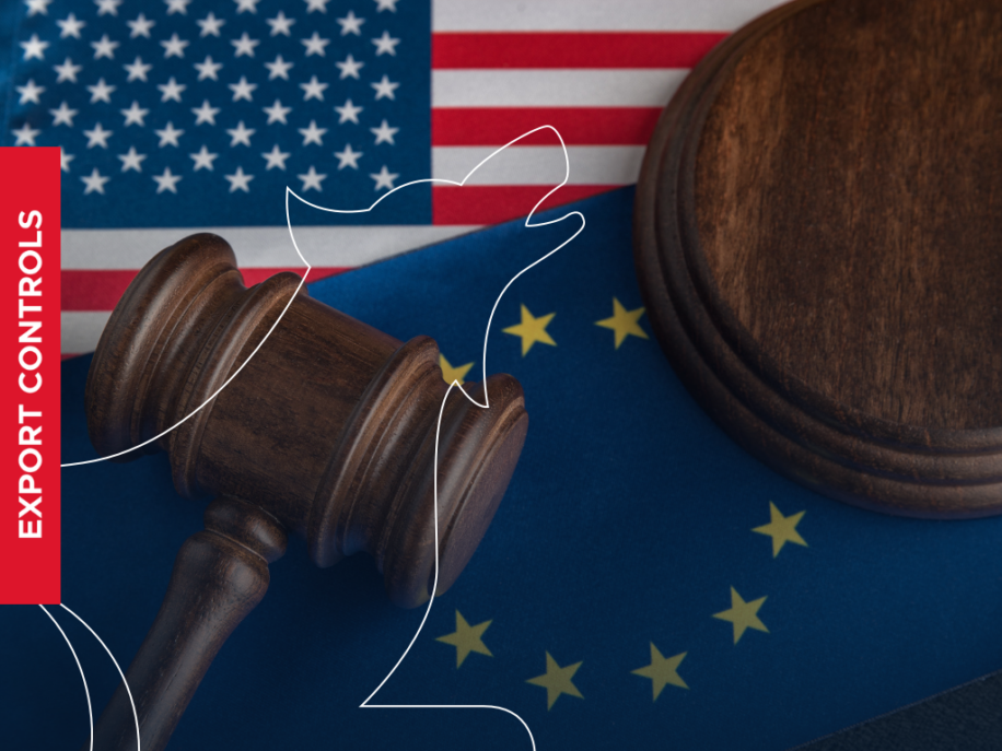 Enforcement of sanctions: increased controls on circumvention and ...